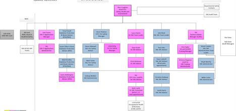 SHE SHE Group organogram